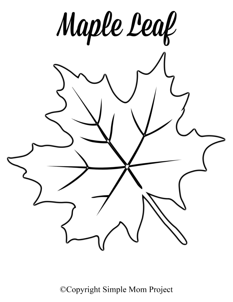 Maple Leaf Template Printable | Printable Templates